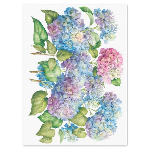 Hydrangeas in Bloom Tissue Paper | Zazzle