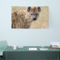 Hyena Banner | Zazzle
