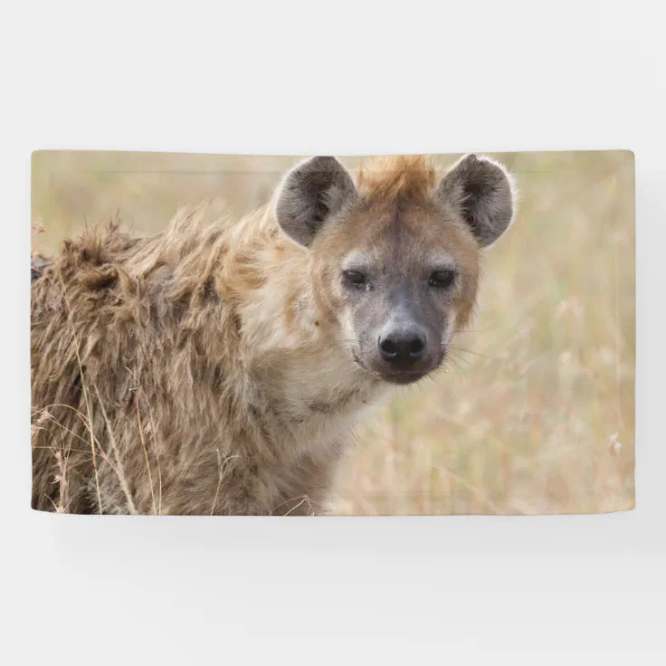 Hyena Banner | Zazzle