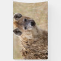 Hyena Banner | Zazzle