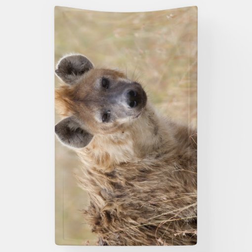 Hyena Banner | Zazzle