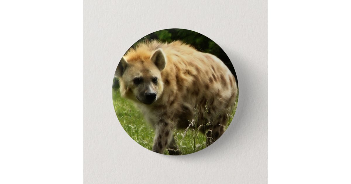 Hyena Round Pin | Zazzle