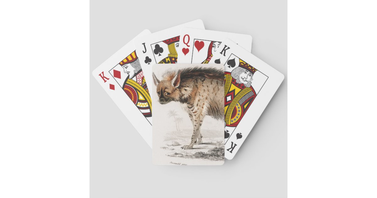 Hyena vintage illustrated poker cards | Zazzle