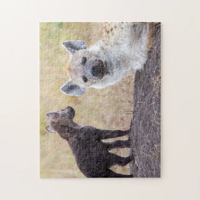 Hyena with young one jigsaw puzzle | Zazzle
