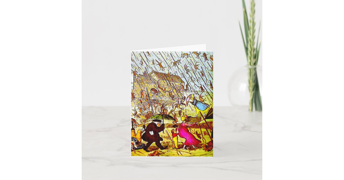 Hyperbole Raining Cats and Dogs Greeting Card | Zazzle