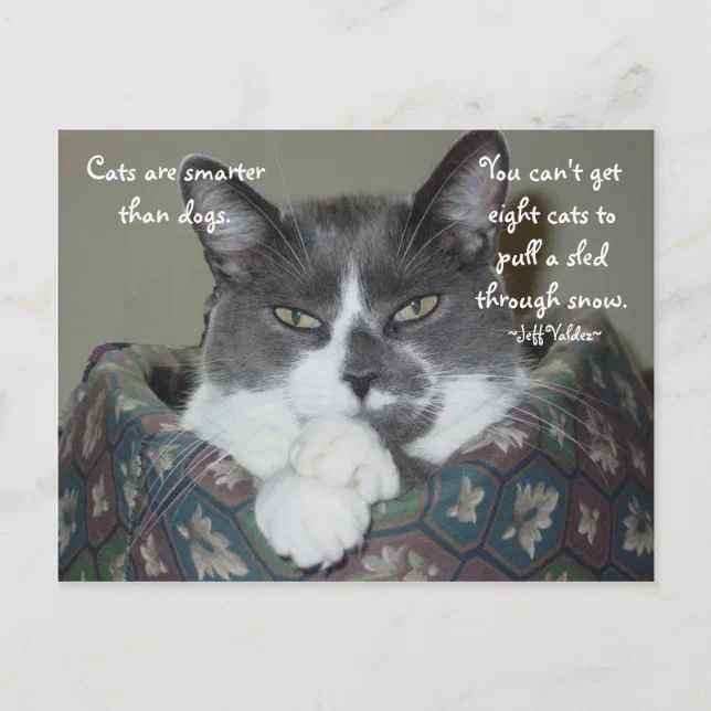 I Am Cat... Postcard | Zazzle