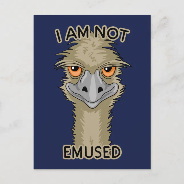 I Am Not Emused Funny Emu Pun Holiday Postcard | Zazzle