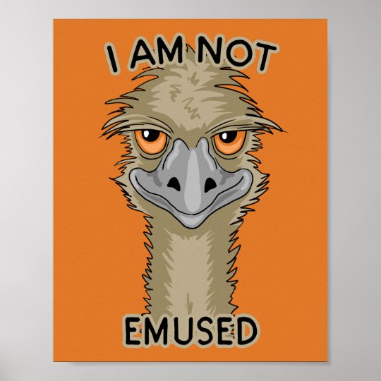 I Am Not Emused Funny Emu Pun | Orange Poster | Zazzle.com