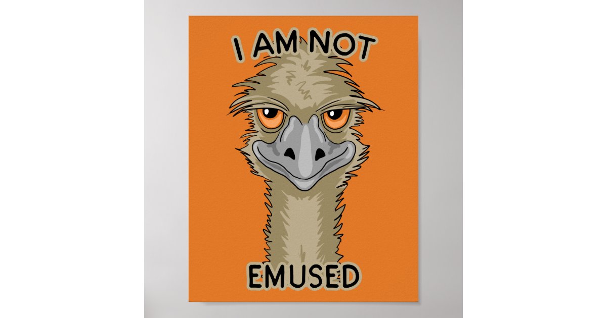 I Am Not Emused Funny Emu Pun | Orange Poster | Zazzle