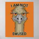 I Am Not Emused Funny Emu Pun | Orange Poster | Zazzle