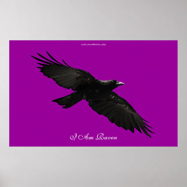 I AM RAVEN III Flying Black Raven Art Poster | Zazzle