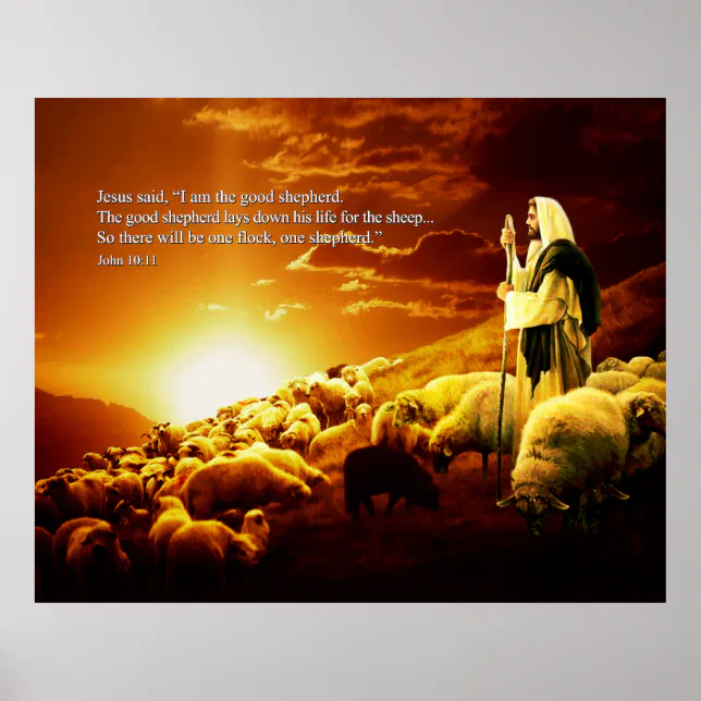 “I am the good shepherd. John 10:11 Poster | Zazzle