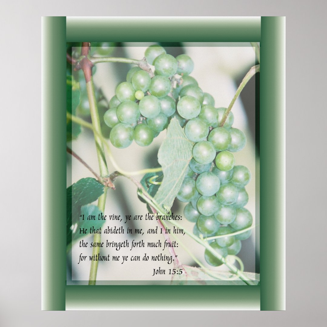 I am the Vine Scripture art Poster | Zazzle