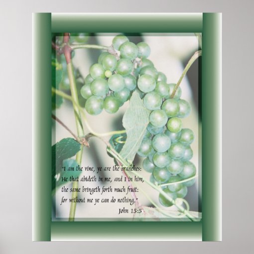 I am the Vine Scripture art Poster | Zazzle