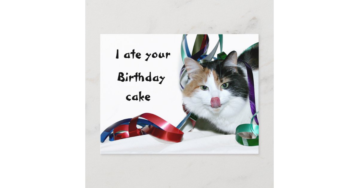 I ate your birthday cake postcard | Zazzle