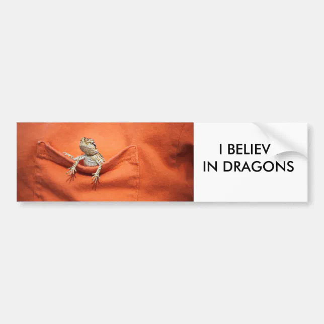 I believe in dragons bumper sticker bearded dragon | Zazzle
