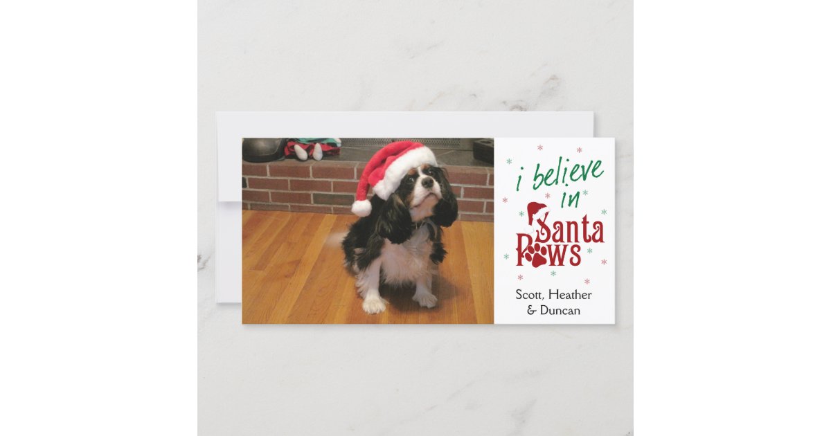 I Believe in Santa Paws Holiday Card | Zazzle
