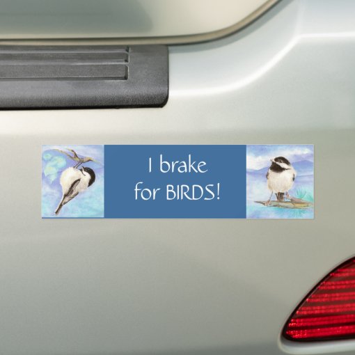 I brake for Birds - Birding Bumper Sticker | Zazzle