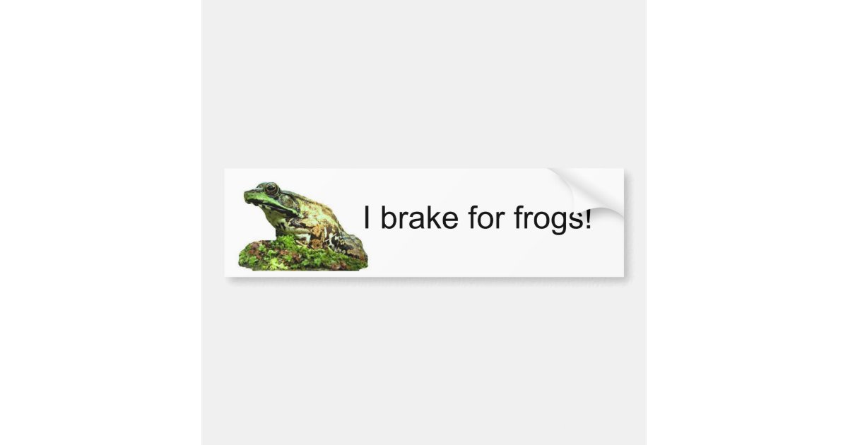 I brake for... bumper sticker | Zazzle
