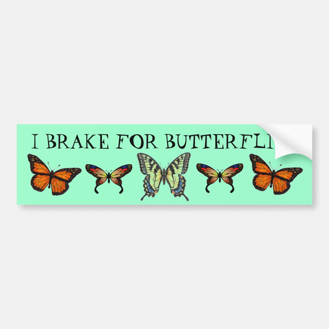 I Brake For Butterflies Bumper Sticker | Zazzle