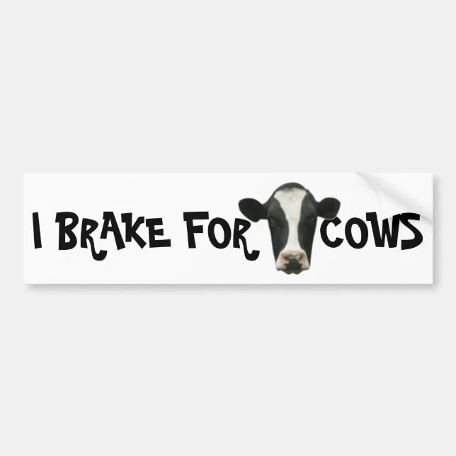 I Brake for Cows Bumper Sticker | Zazzle