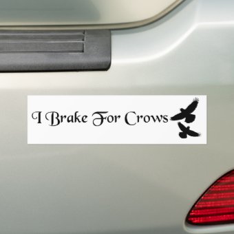 I Brake For Crows Bumper Sticker | Zazzle