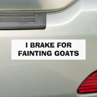 I Brake For Fainting Goats Bumper Sticker | Zazzle