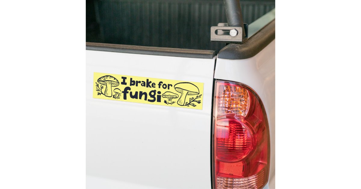 I BRAKE FOR FUNGI Cute Mushrooms Foraging Nature Bumper Sticker | Zazzle