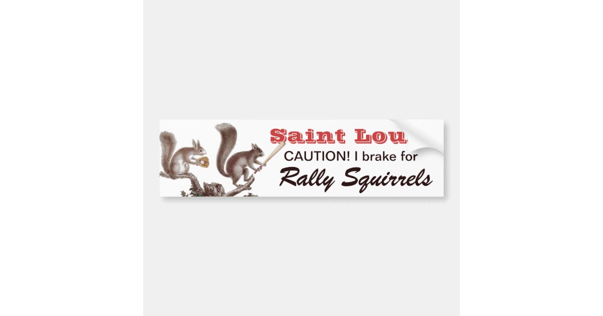 I Brake For Rally Squirrels St. Louis Bumper Sticker | Zazzle