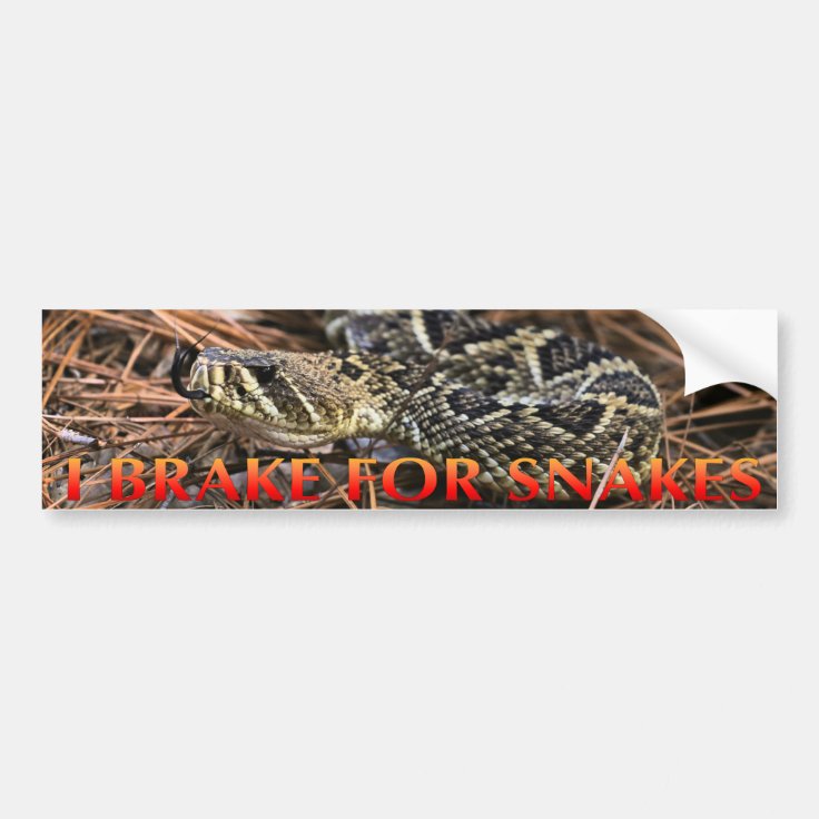 I Brake For Snakes Bumper Sticker | Zazzle
