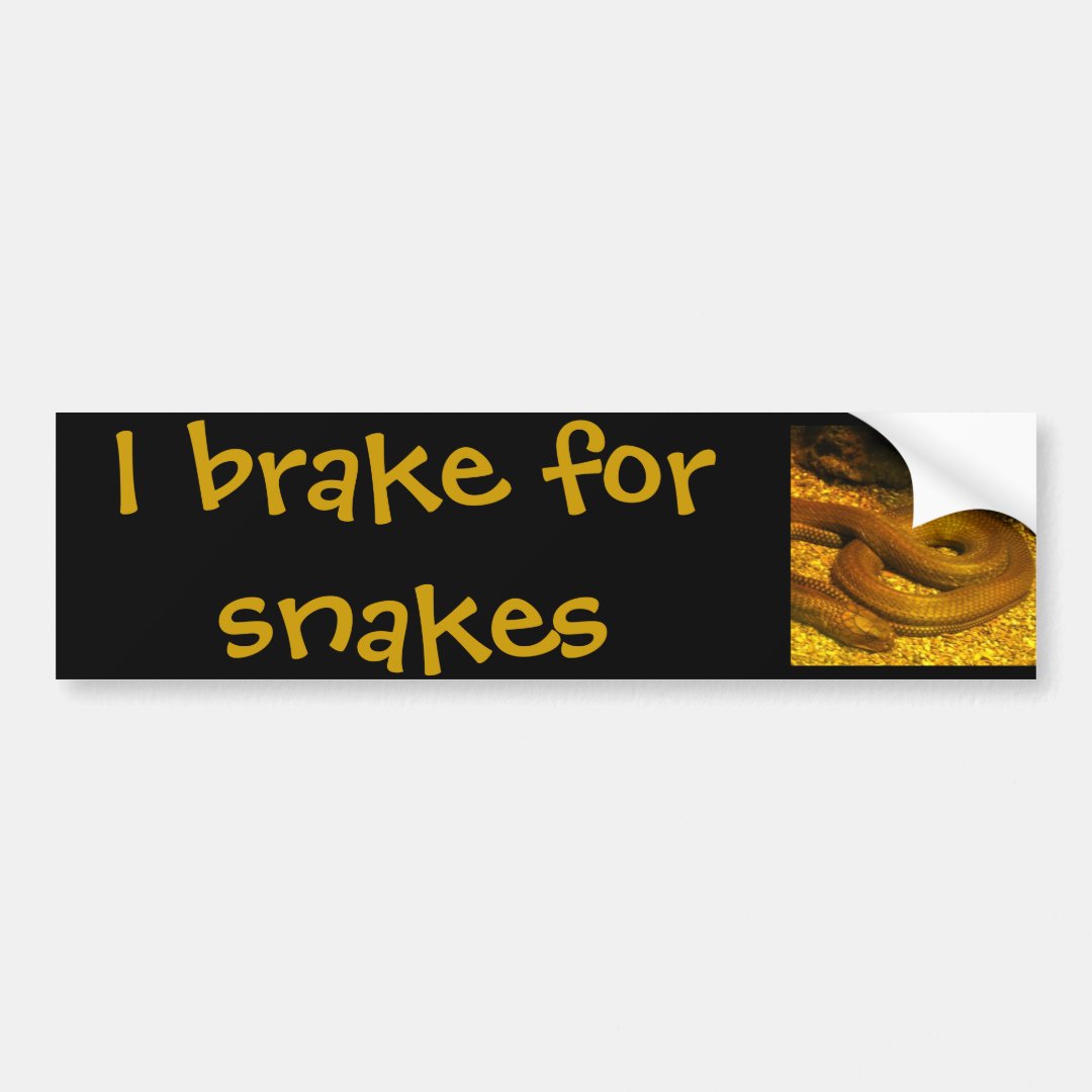 I brake for snakes bumper sticker | Zazzle