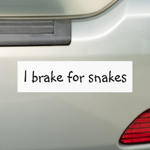 I brake for snakes bumper sticker | Zazzle