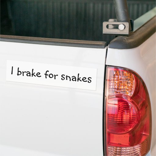 I brake for snakes bumper sticker | Zazzle