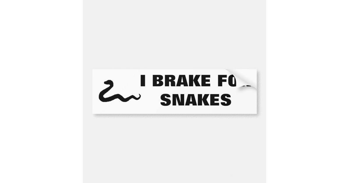 I brake for snakes bumper sticker | Zazzle