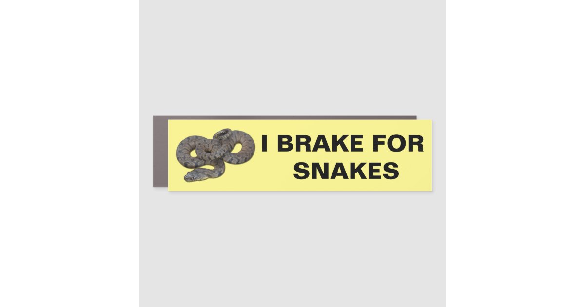 I Brake For Snakes Car Magnet | Zazzle