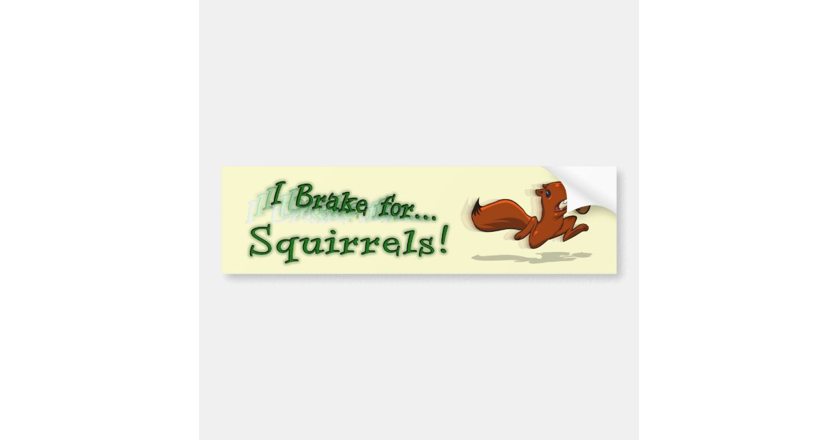 I Brake for Squirrels! Bumper Sticker | Zazzle
