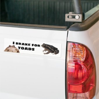 I brake for toads bumper sticker | Zazzle