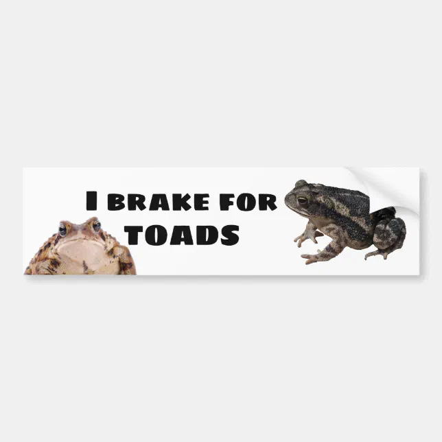 I brake for toads bumper sticker | Zazzle