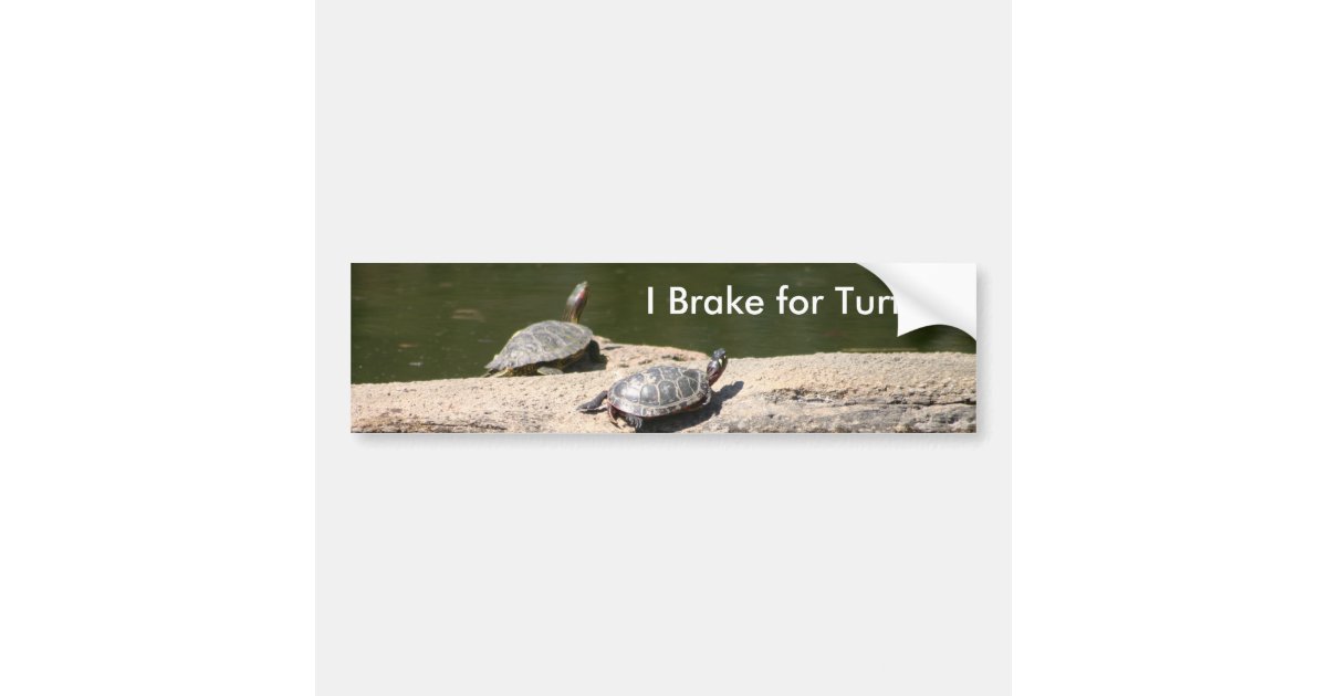 I Brake for Turtles Bumper Sticker | Zazzle