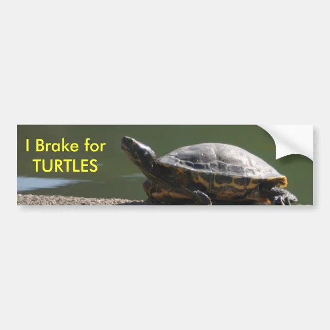 I Brake for TURTLES Bumper Sticker | Zazzle