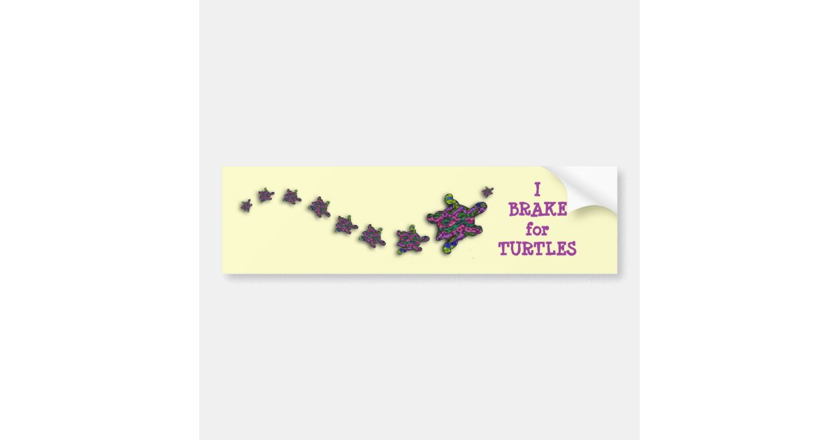 I Brake for Turtles Bumper Sticker | Zazzle