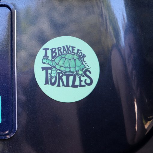 I Brake for Turtles Car Magnet | Zazzle