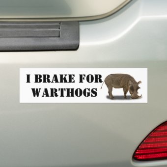 I BRAKE FOR WARTHOGS BUMPER STICKER | Zazzle