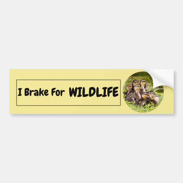 I Brake for Wildlife Bumper Sticker | Zazzle
