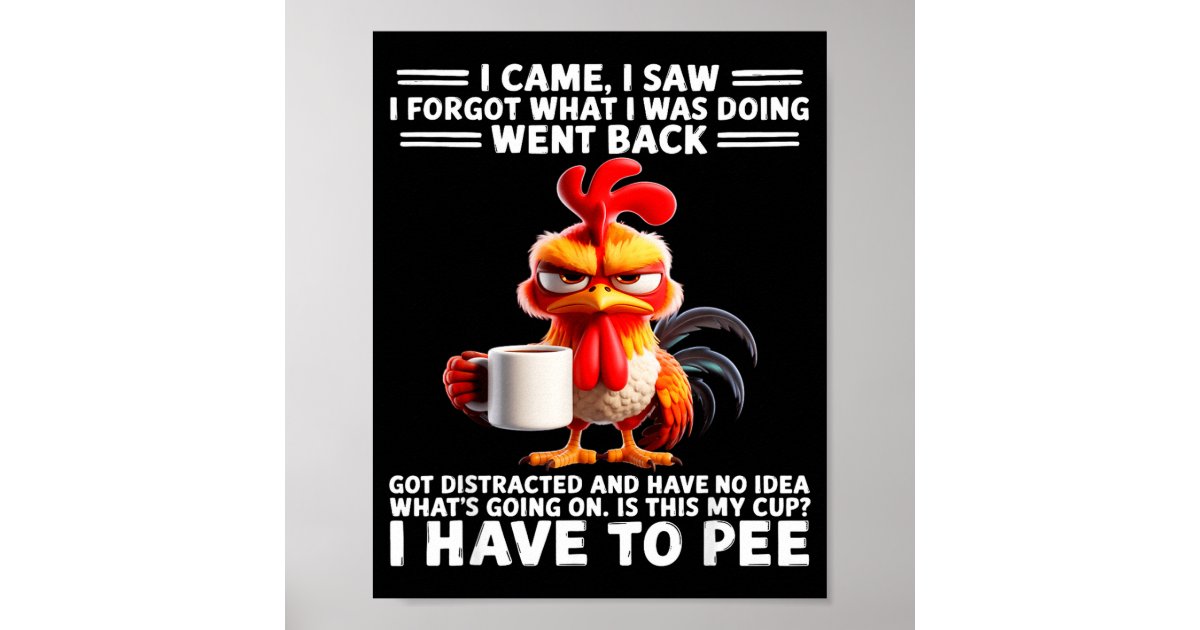 I Came I Saw I Forgot What I Was Doing Went Back G Poster | Zazzle