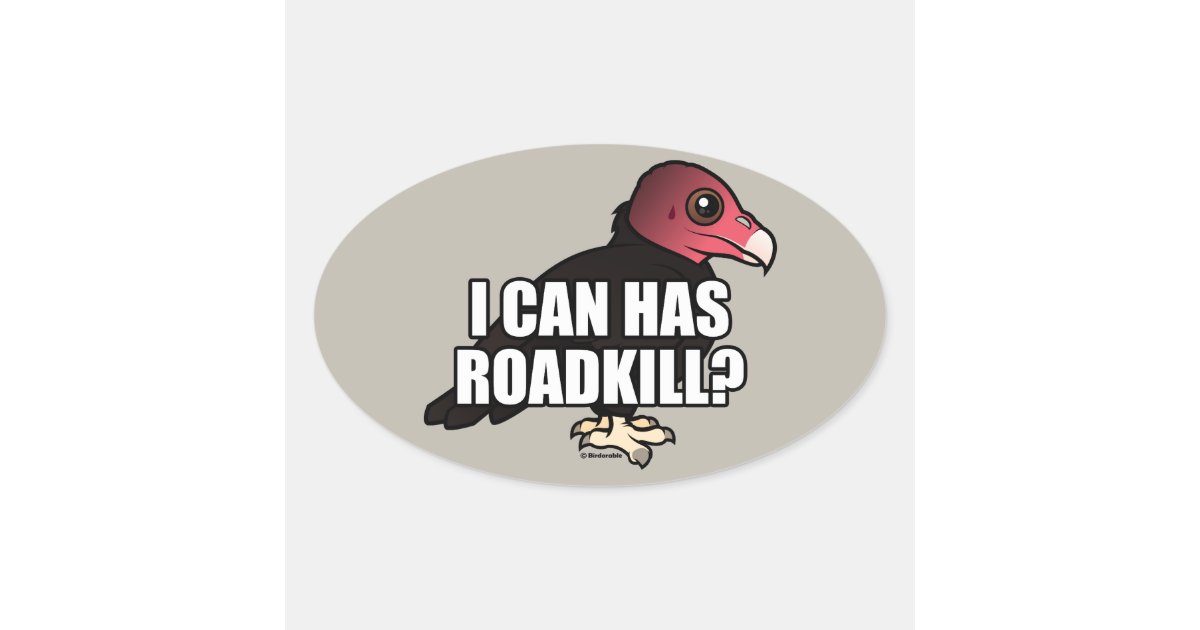I Can Has Roadkill? Oval Sticker | Zazzle