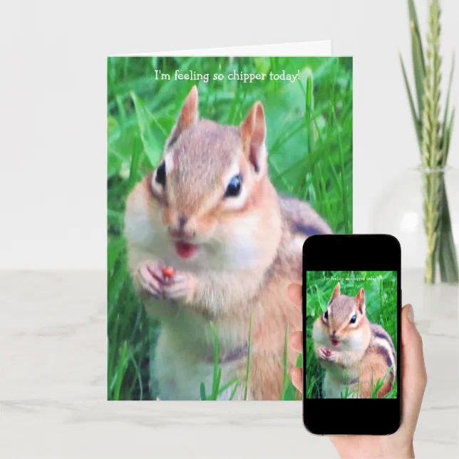 I feel Chipper today! Card | Zazzle