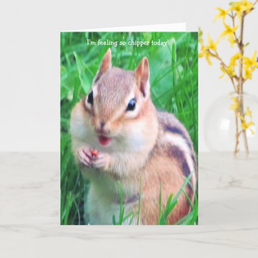 I feel Chipper today! Card | Zazzle