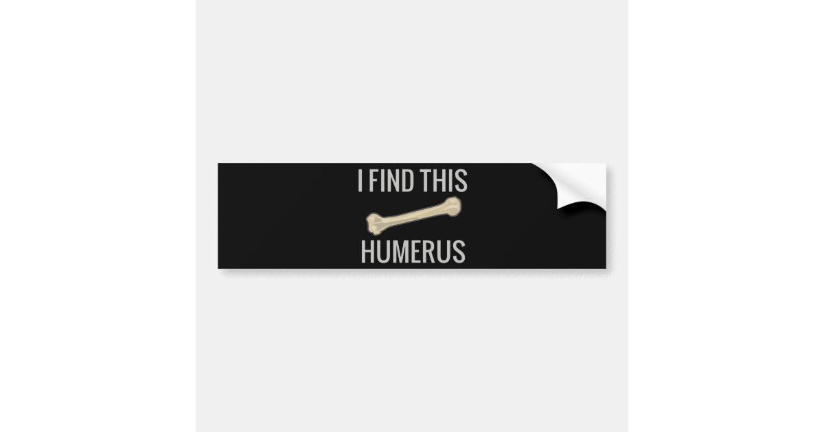 I Find This Humerus Bumper Sticker | Zazzle