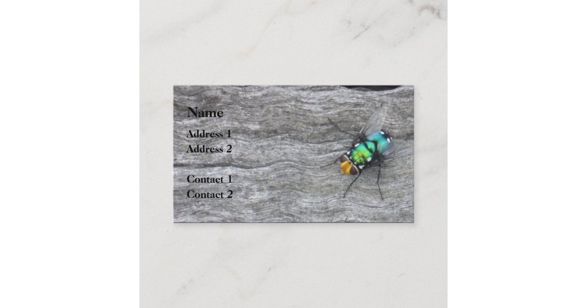 i flies business card | Zazzle